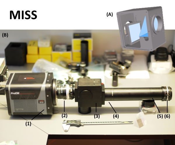 The Meridian Imaging Svalbard Spectrograph